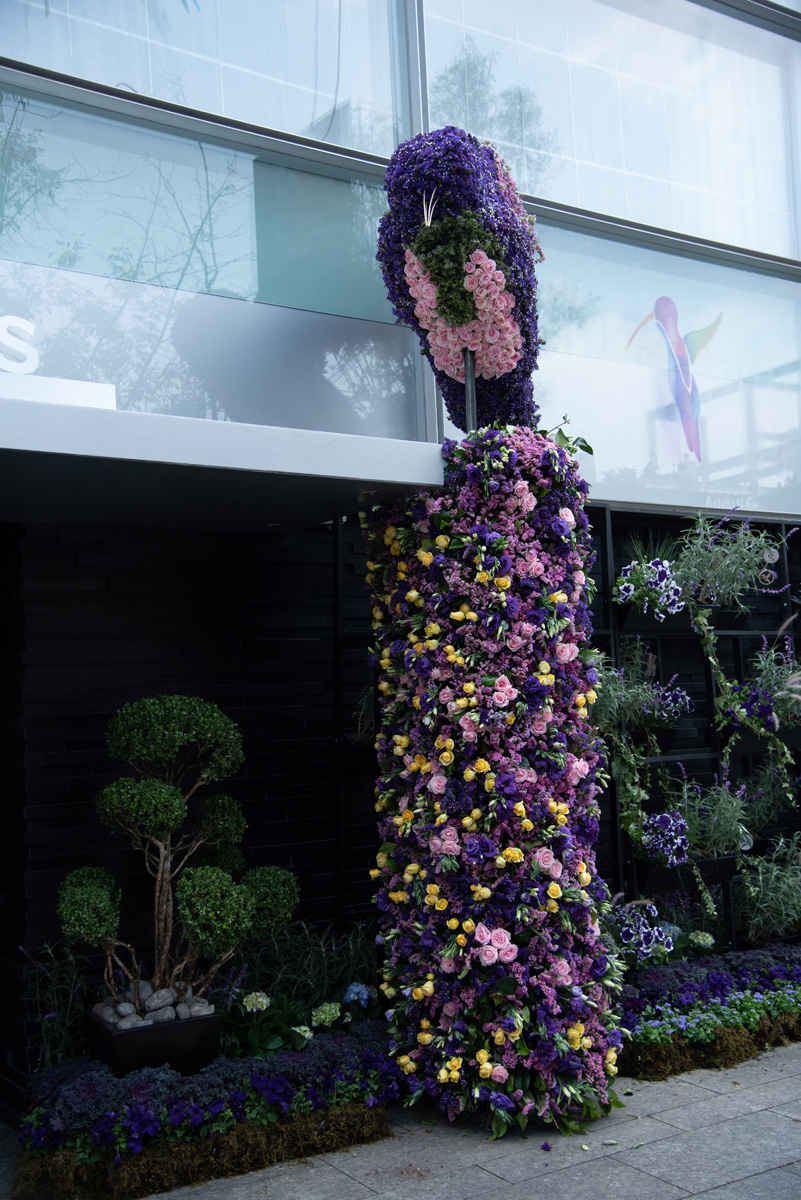 Polanco se llena de flores