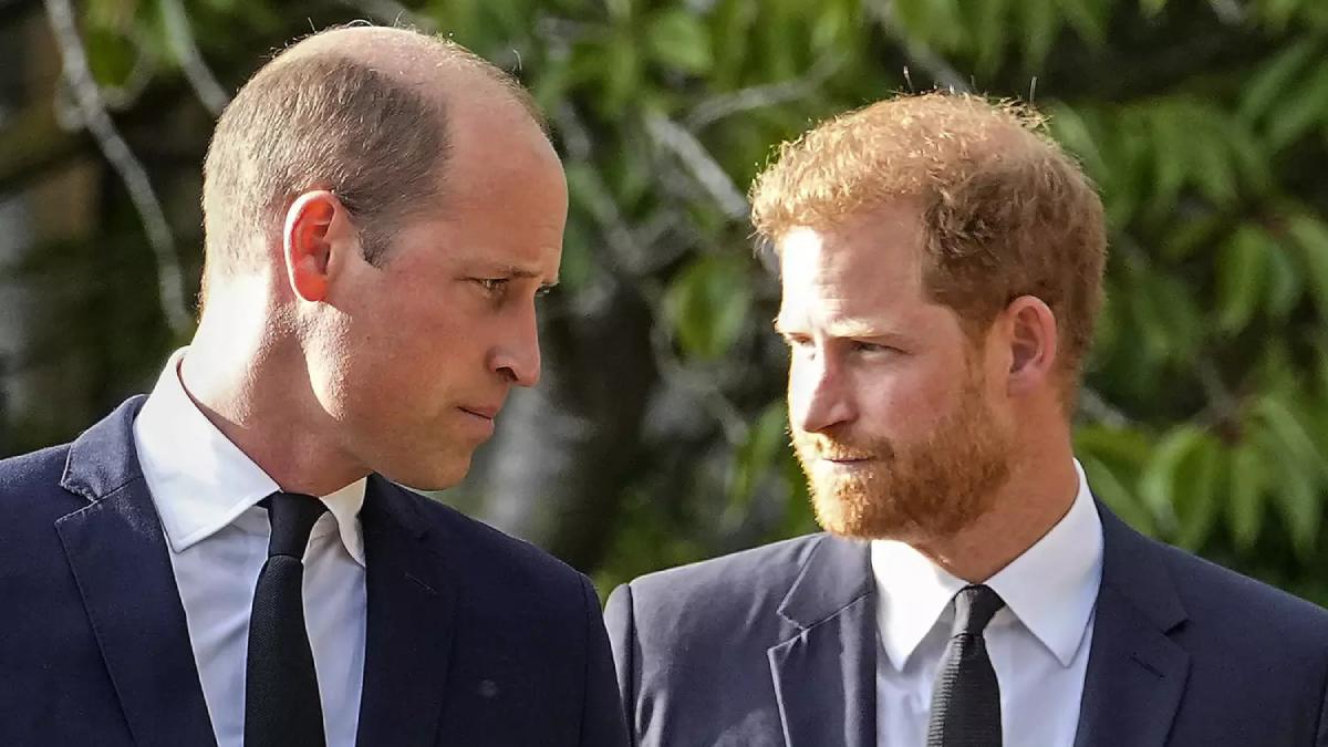 El príncipe William encontró "sustitutos" para llenar el hueco que dejó ...